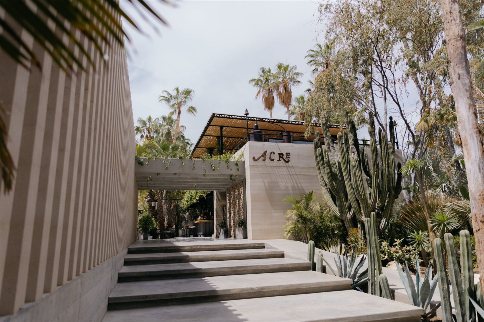 Acre Resort Wedding: Cabo Destination Wedding Planning Guide